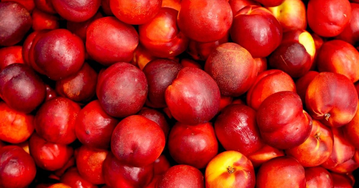 Pesca e nettarina di Romagna Igp, con il territorio c’è più gusto ...