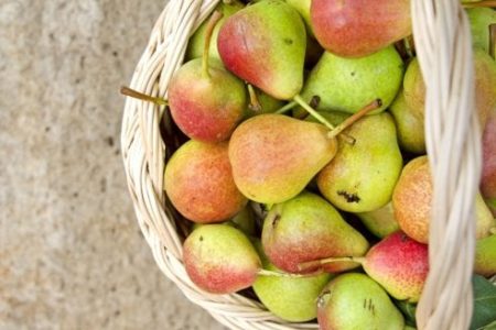 Le pere italiane Presidio Slow Food