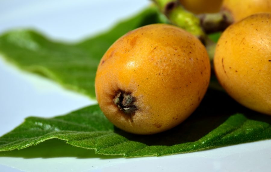 Nespole: Come si Mangiano, Proprietà Nutrizionali e Ricette