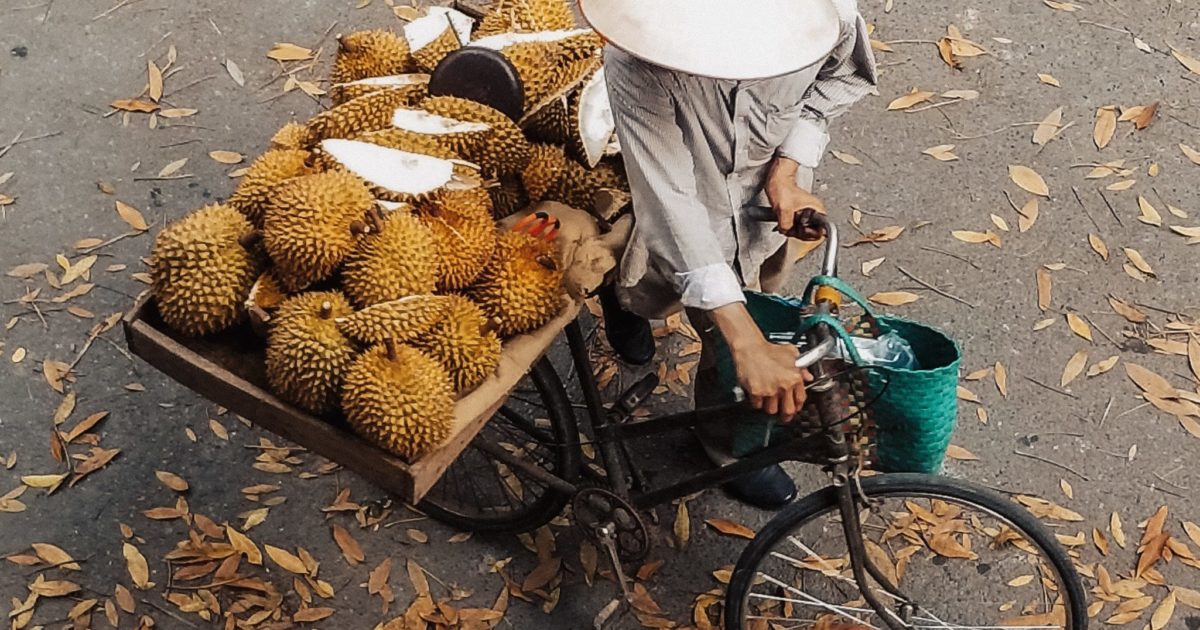 Durian: perché puzza e che sapore ha il frutto strano orientale ...