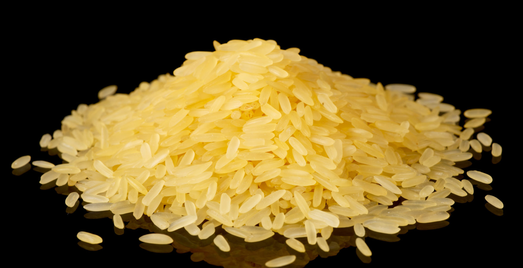 Cos'è il Golden Rice: Pro e Contro dei Prodotti OGM