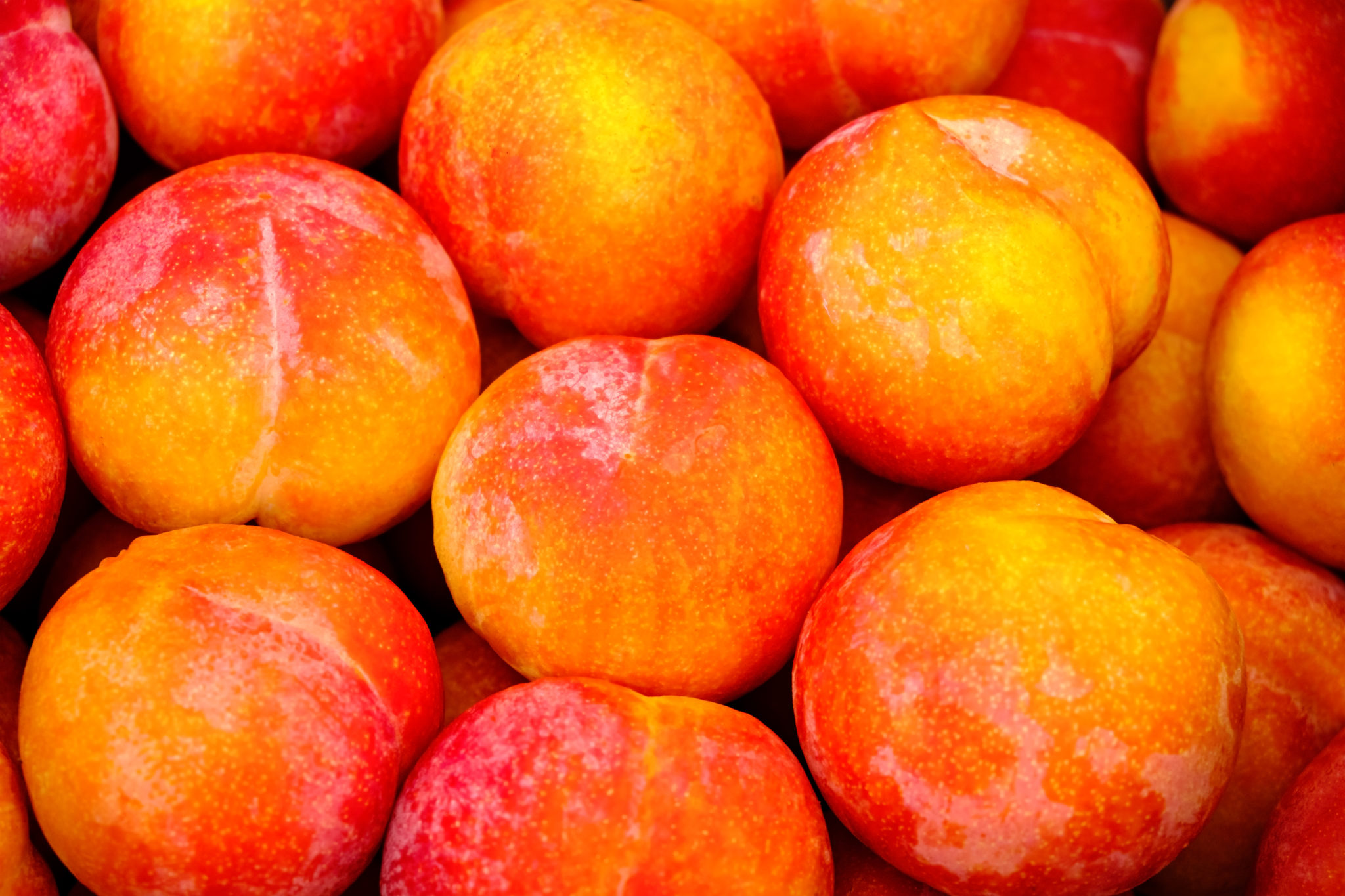 Pluot: Cos'è il Frutto a Metà tra Prugna e Albicocca