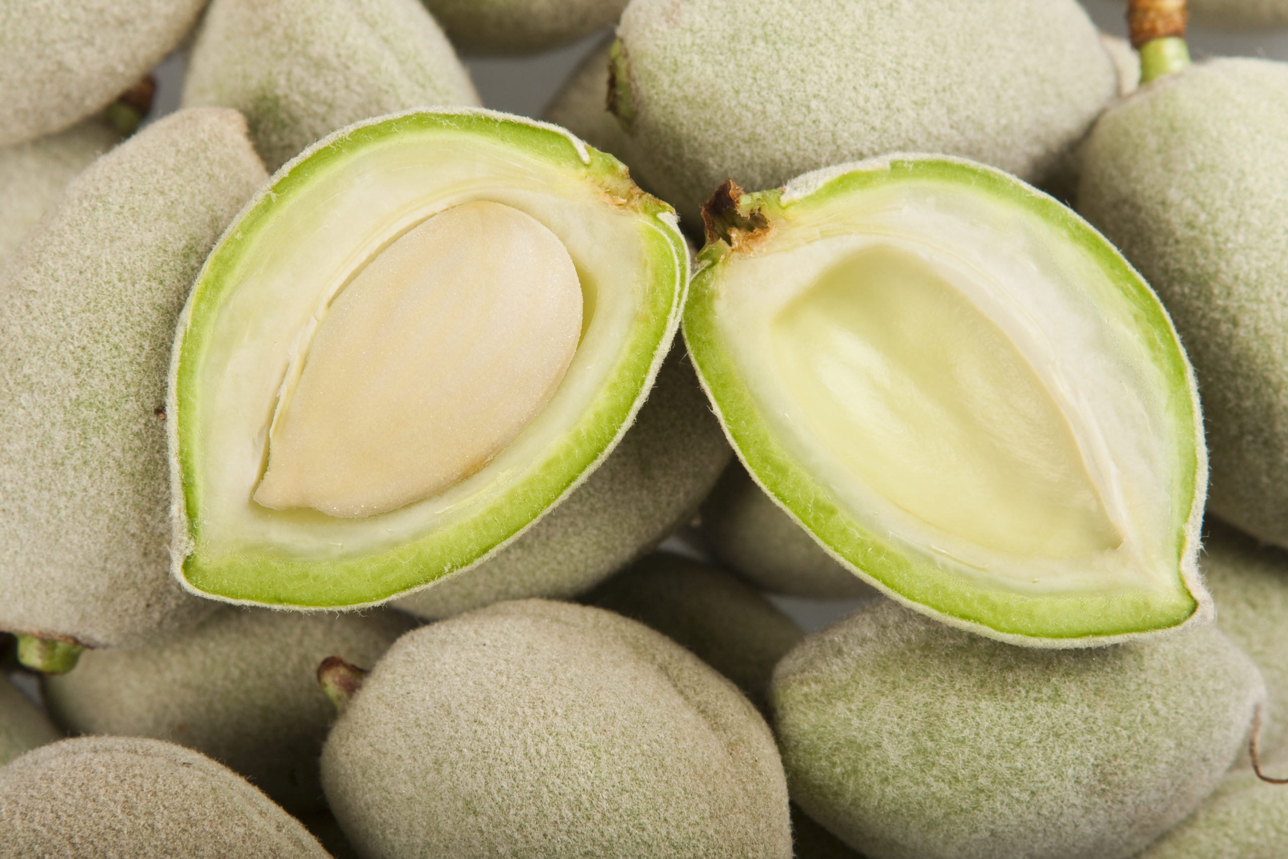 Cosa Sono e Come si Mangiano le Mandorle Fresche Verdi