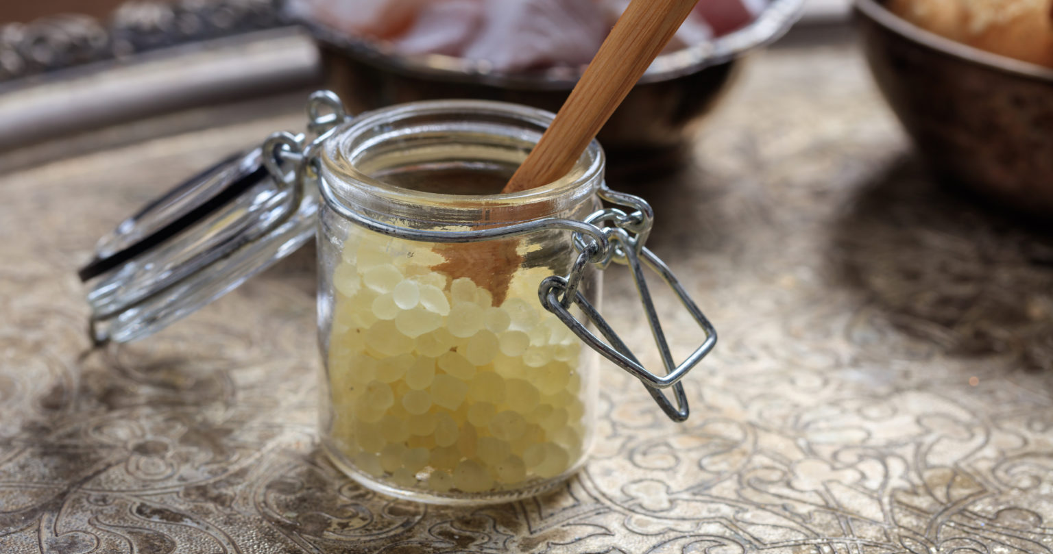 Mastica: Cos'è e Come si Mangia la Resina Greca | fruitGourmet