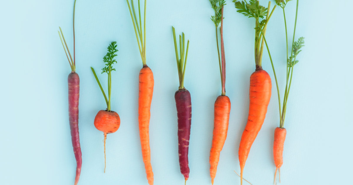 Come conservare le radici: dalle carote allo zenzero | fruitGourmet