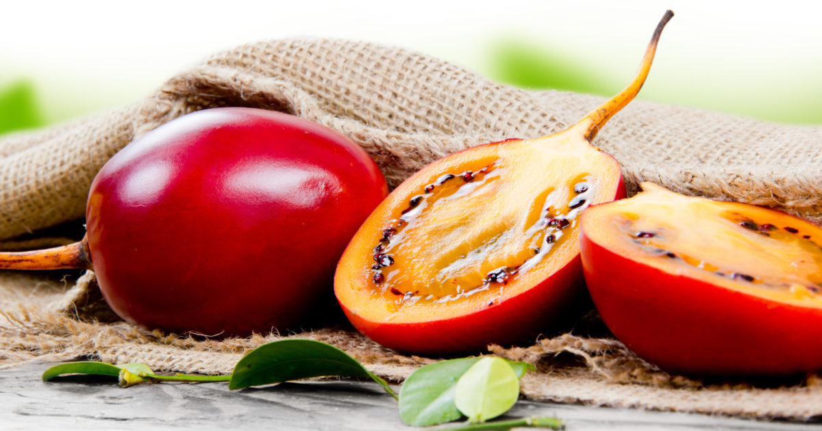 Tutti i segreti del Tamarillo