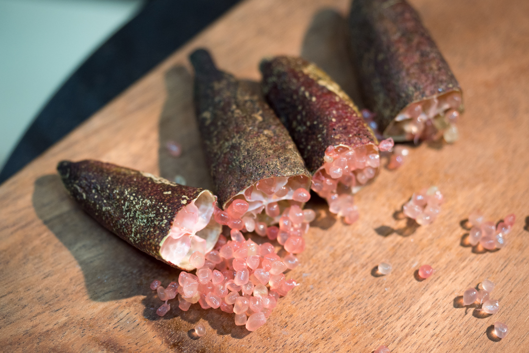 Finger lime: come usare il caviale limone nelle tue ricette
