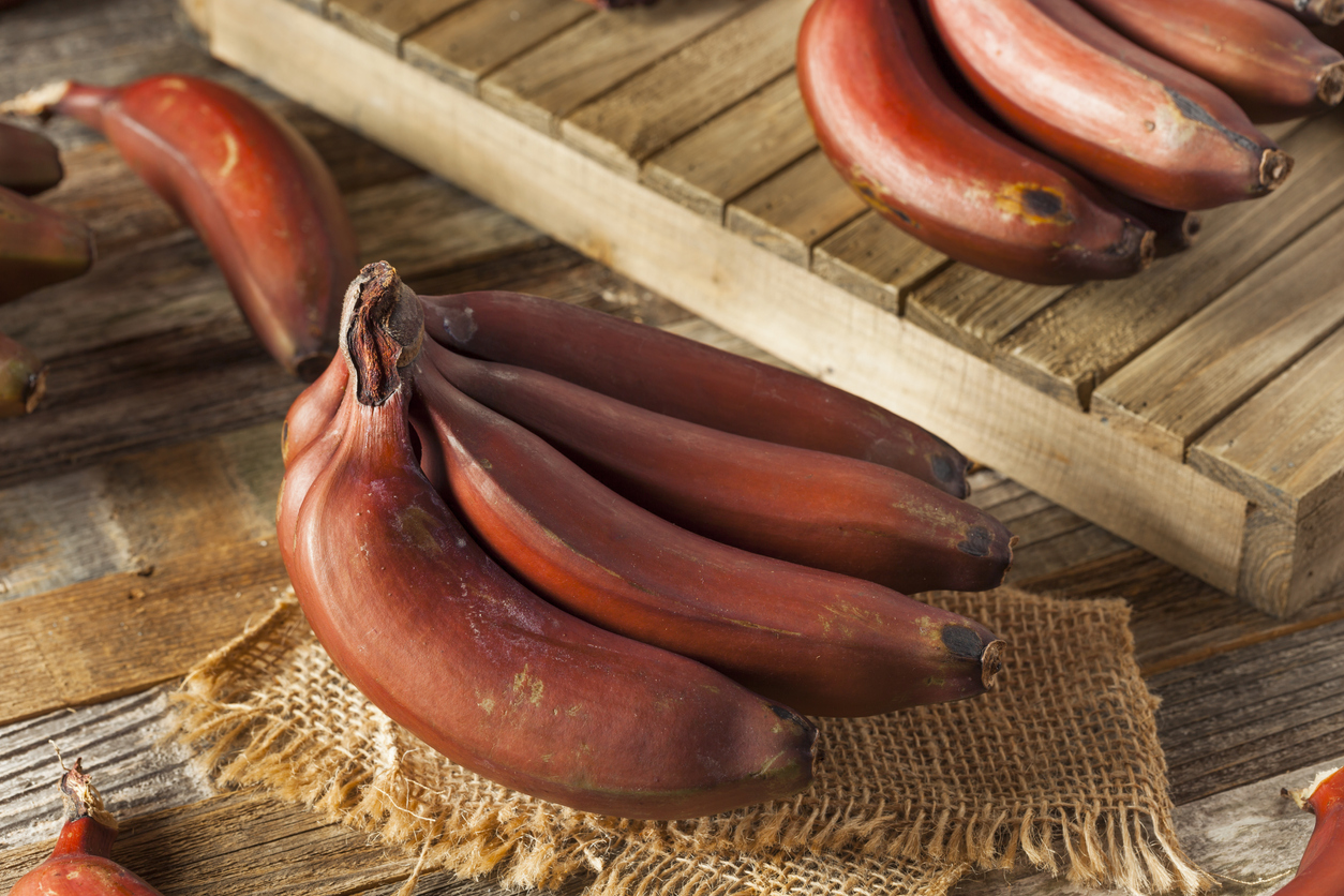 Le banane rosse che sanno di lampone