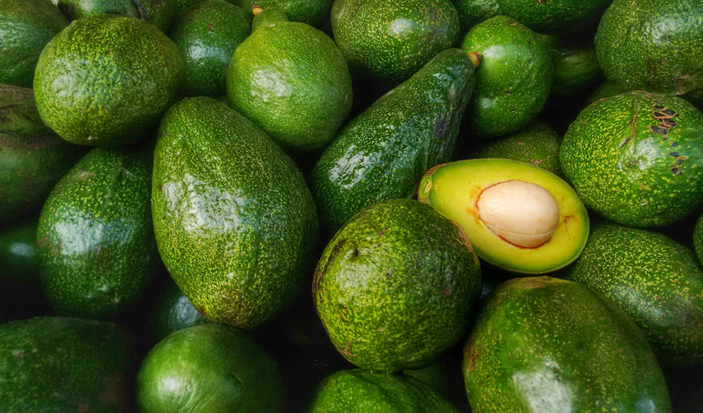 Avocado in Sicilia: Dove Comprare l'Avocado Siciliano