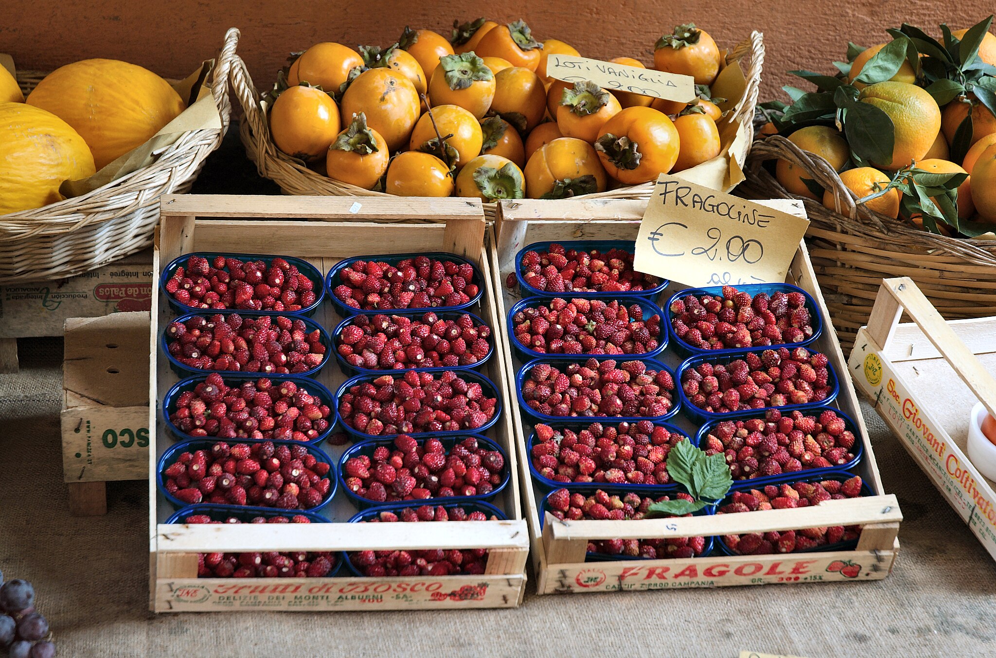 Sagra delle Fragole di Nemi: Tradizione, Innovazione e Influencer AI