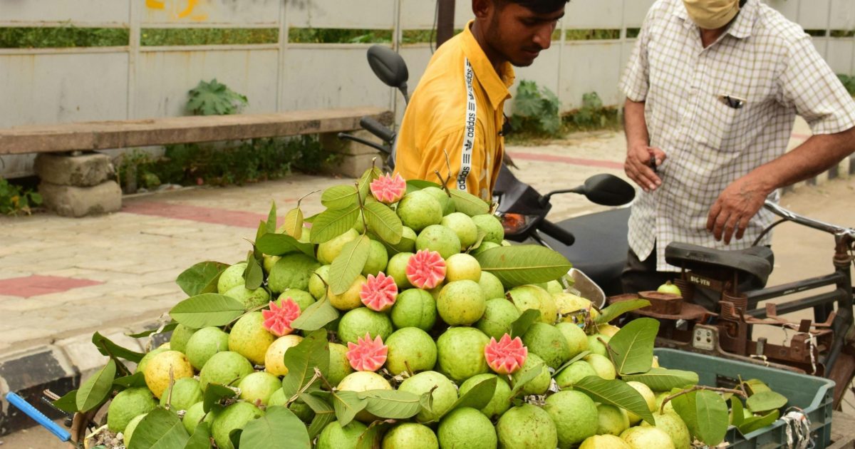 Dove comprare la Guava, il frutto esotico del momento